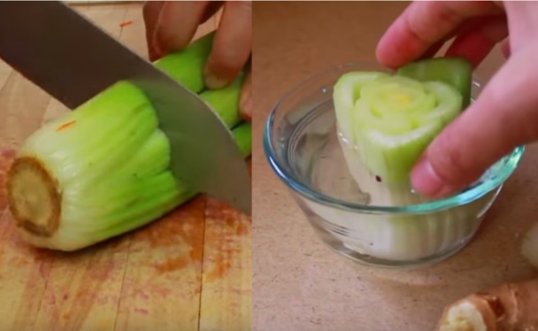 Vous ne jetterez plus vos restes de fruits et légumes après avoir vu ...