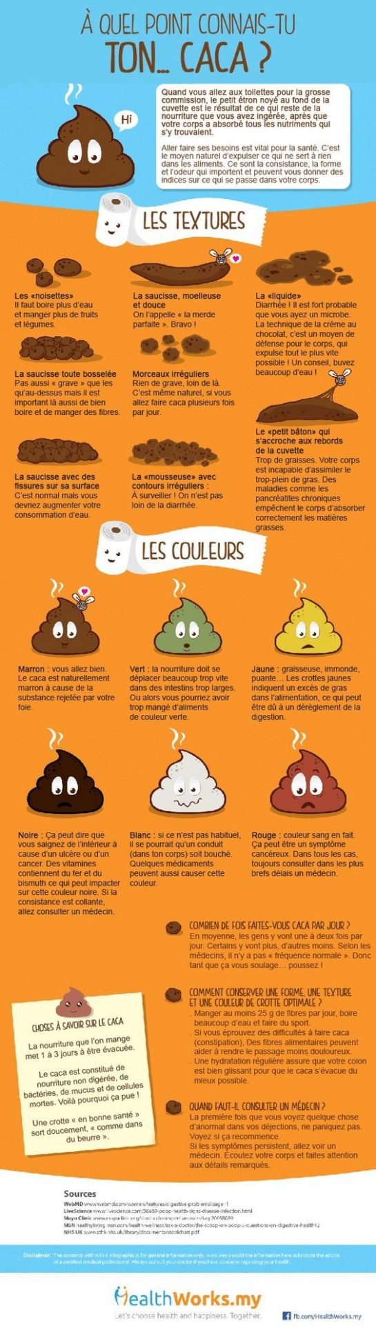Tout ce que vous devez savoir sur... vos selles