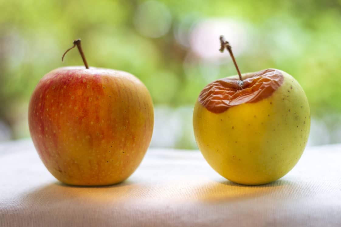 7 astuces pour empêcher les fruits de mûrir trop vite (et donc de pourrir)