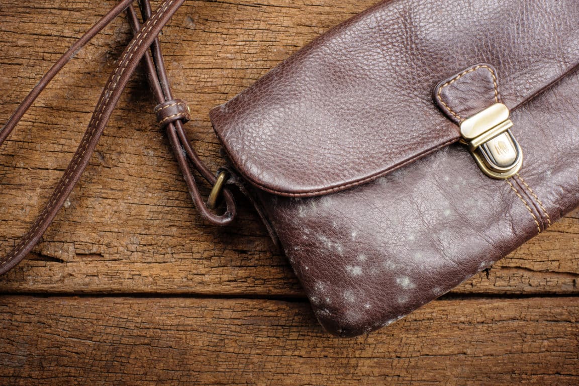 5 astuces pour enlever des taches du cuir sans l'abîmer