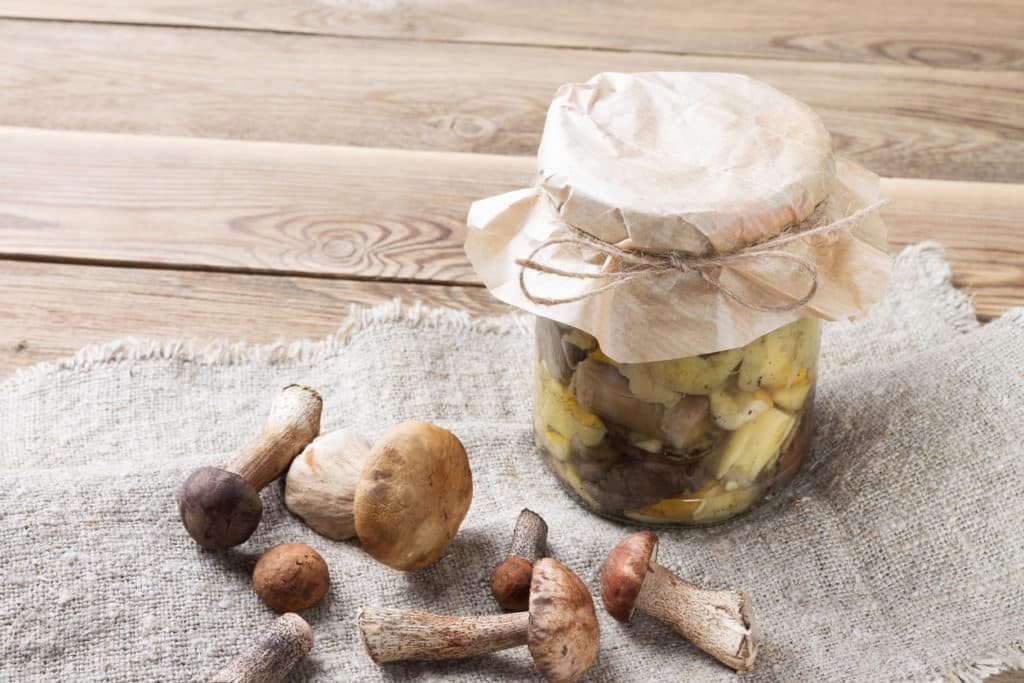 Comment conserver les champignons plus longtemps ? Voici 6 astuces
