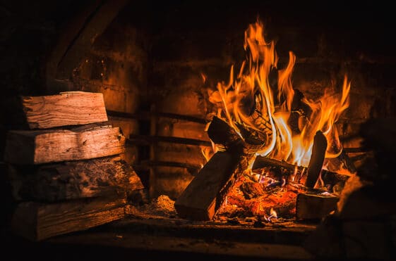 6 types de bois à ne jamais brûler dans votre cheminée ou poêle