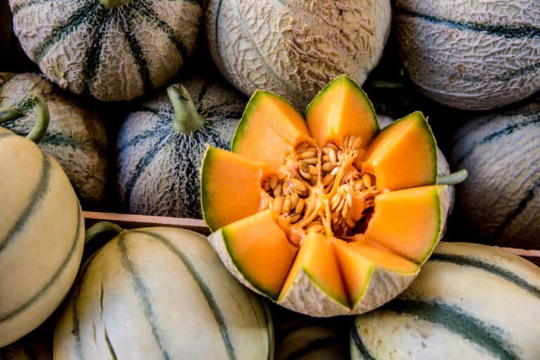 Comment bien choisir son melon ? 5 astuces infaillibles et faciles