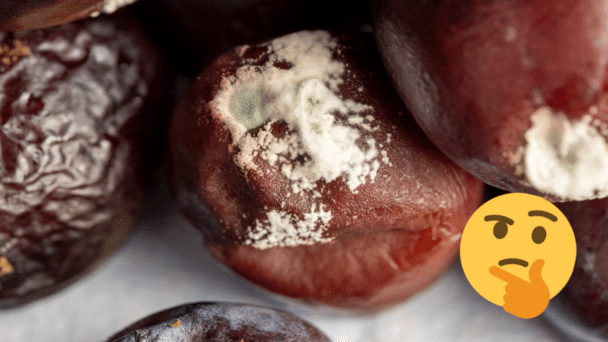 Comment conserver les fruits et légumes plus longtemps quand il fait chaud